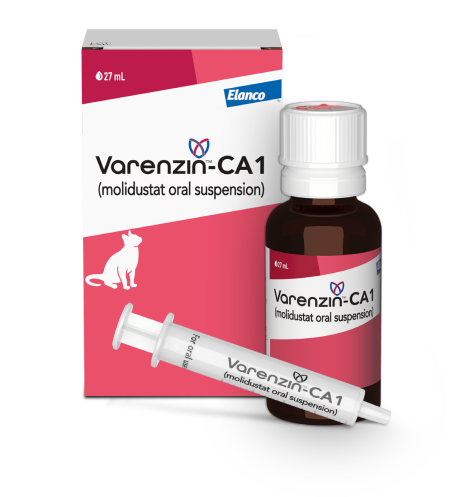 Varenzin™-CA1 (molidustat oral suspension)
